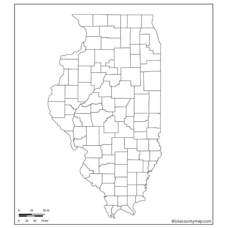 Blank Illinois Map - Basic Unlabeled State Format