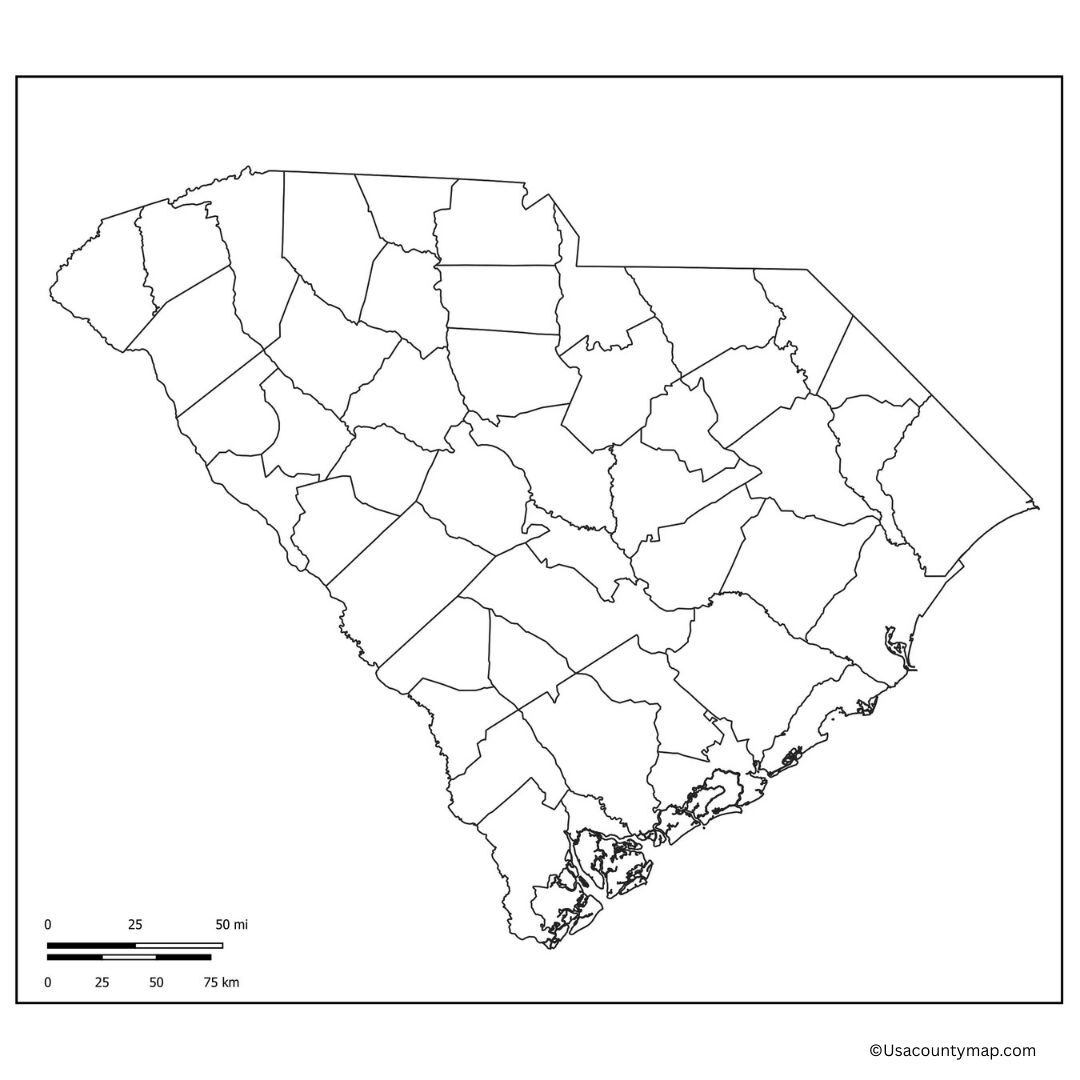 Blank South Carolina Map – Printable Map Sheet