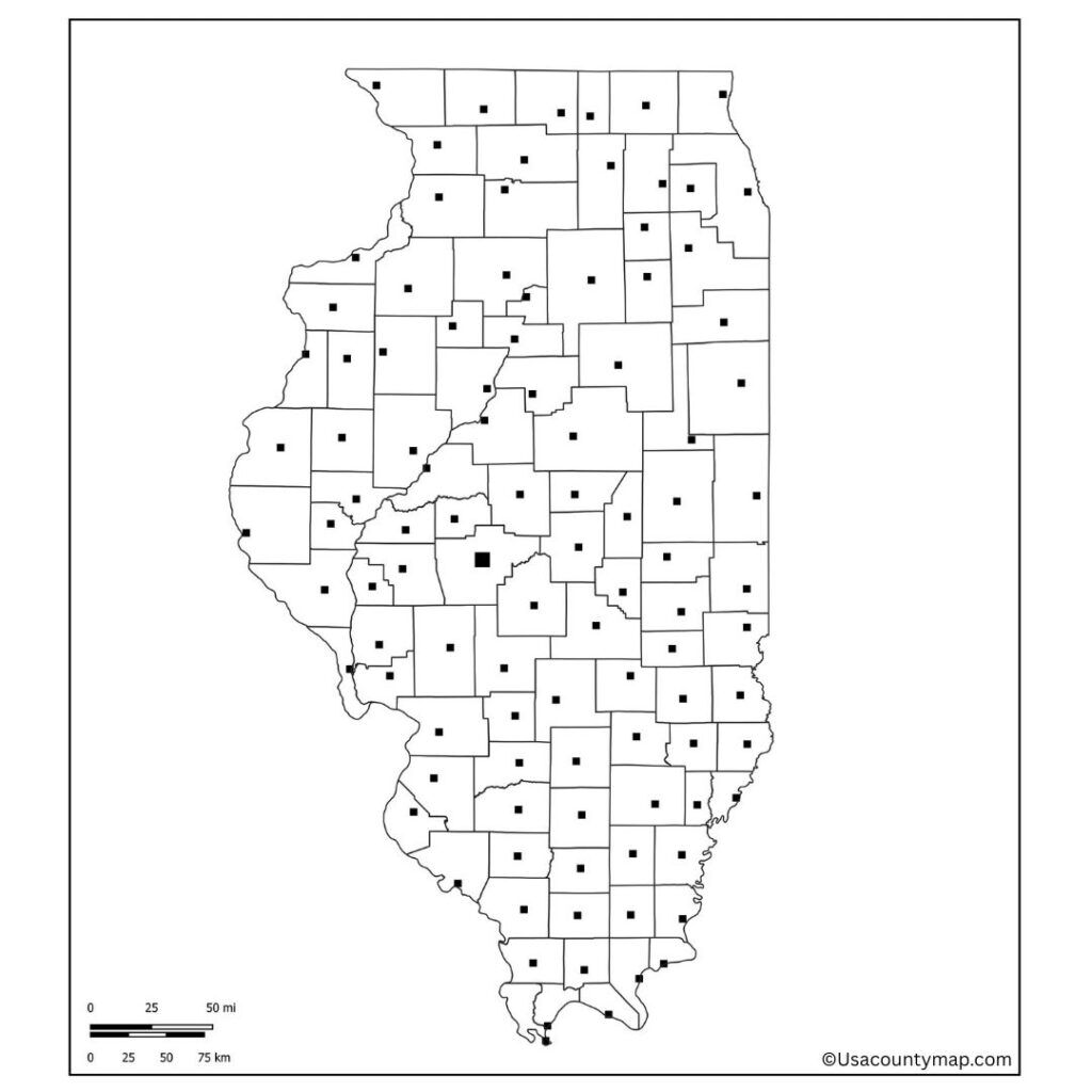 Blank Illinois Map - Basic Unlabeled State Format