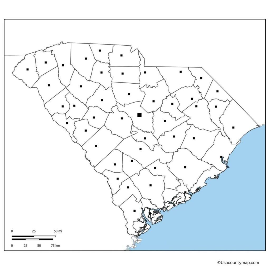 Blank South Carolina Map – Printable Map Sheet
